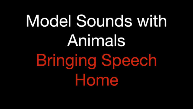 M Sound - Bringing Speech Home